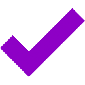 Violet check mark icon