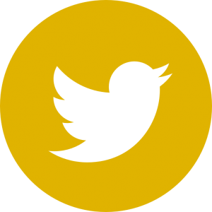 Round yellow Twitter icon