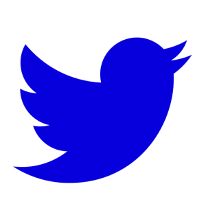 Blue Twitter Icon